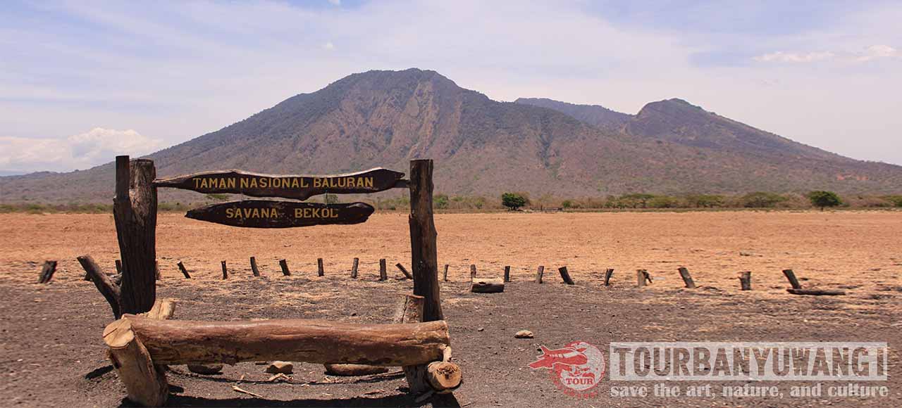 baluran national park, taman wisata baluran, paket wisata baluran, www ...