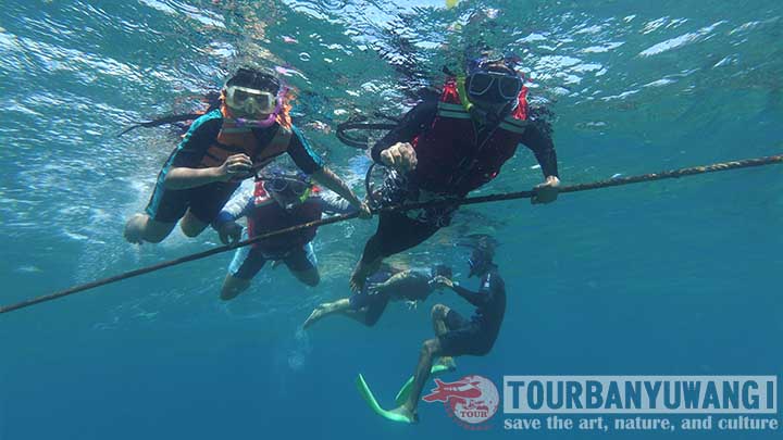rumah apung bangsring, bangsring snorkeling, bangsring penangkaran hiu ...
